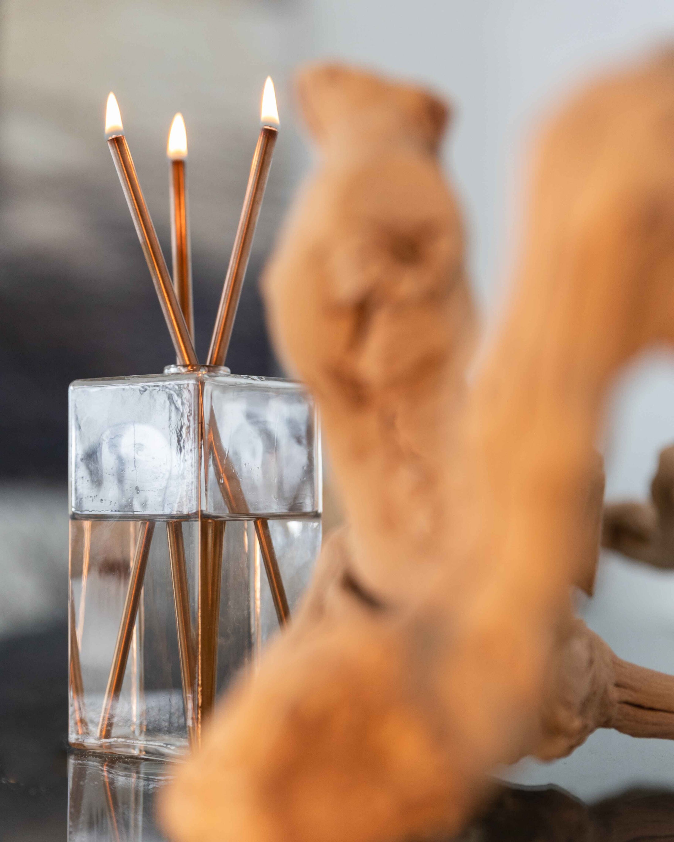 Jervis Collection - Everlasting Candle Co.®